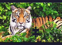 Relax Jigsaw Puzzles - Juega gratis